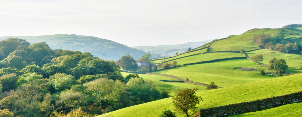 Blog — Institute of Economic Affairs