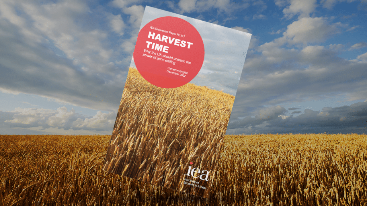 Harvest time: Why the UK should unleash the power of gene editing ...